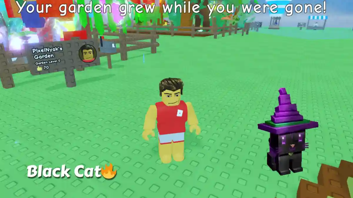 Grow a Garden Black Cat Pet Wiki (What it Does)